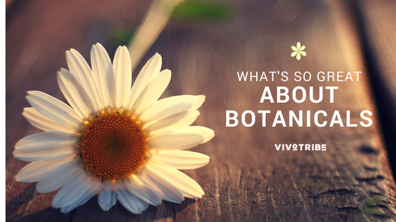 Benefits of Adding Botanicals to Your Diet | BeanVIVO